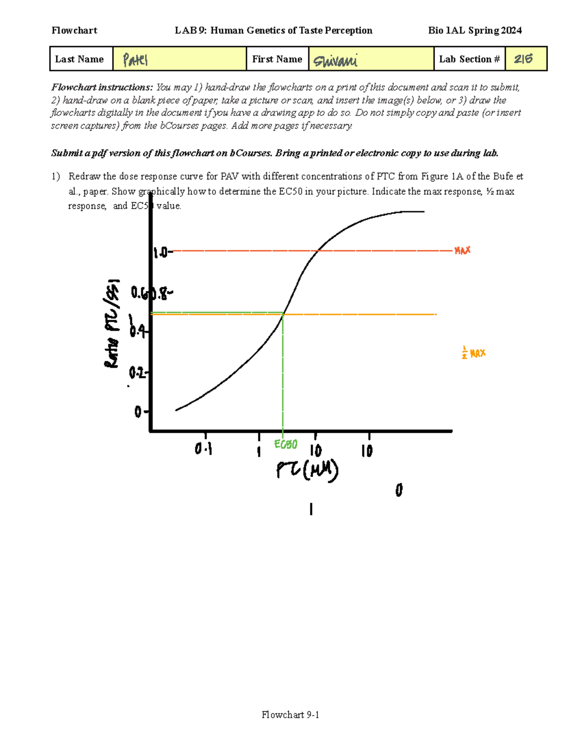Bio 1AL Lab 9: Flowchart on Human Genetics & Taste Perception Sp24 ...
