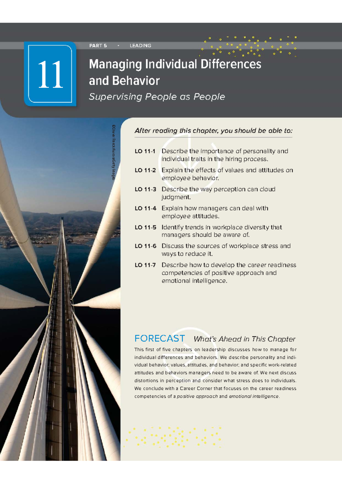 Chapter 11 - Managing Individual Differences and Behavior - This first ...