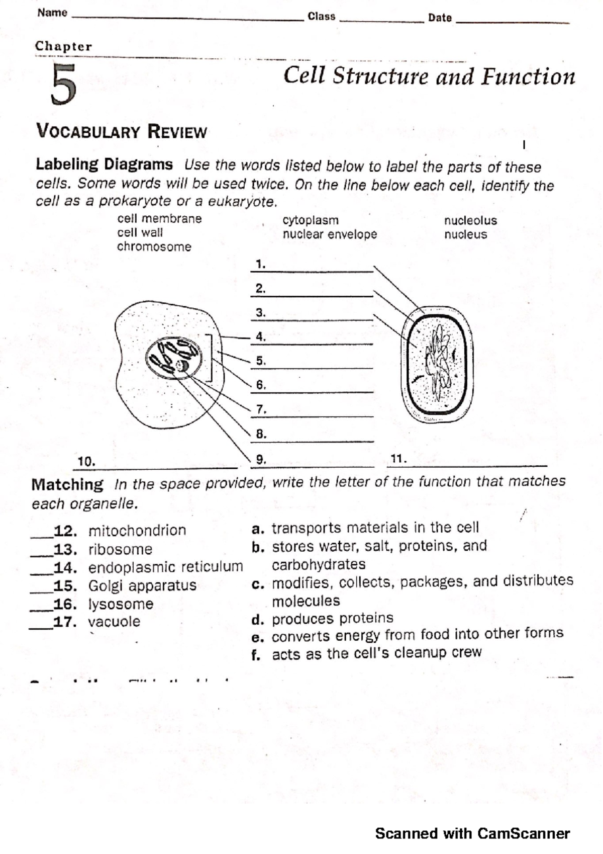 Chapter 5 Cells Structure Wksht - Name Class Date Chapter 5 Cell ...