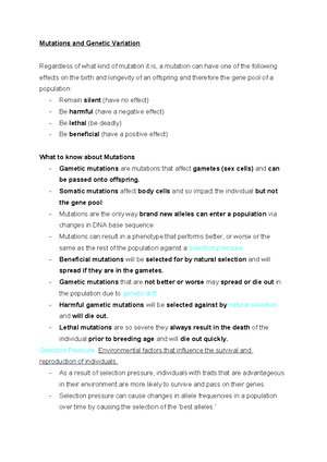 Genetic Variation and Change Glosaary - No Brain Too Small BIOLOGY ...