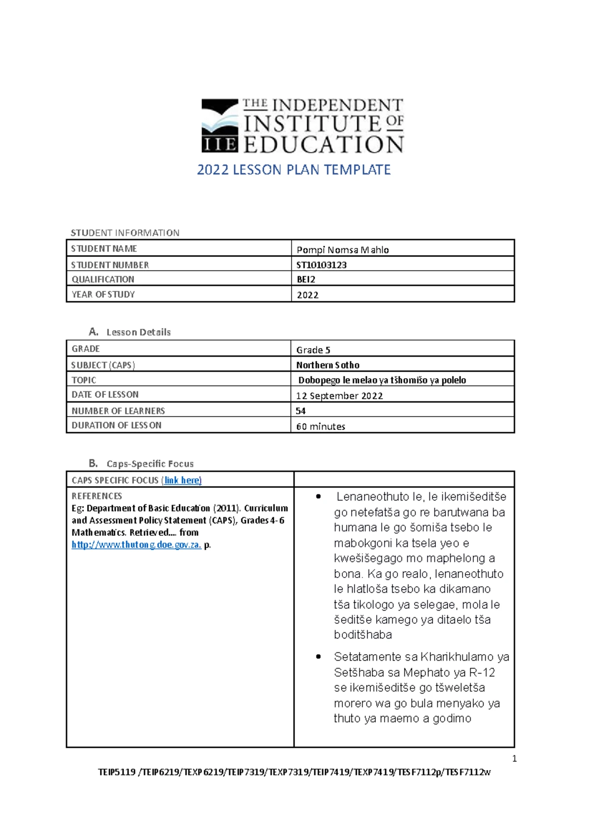 Grade 4 Social Sciences Term 3 Lesson Plan: Transport Through Time ...