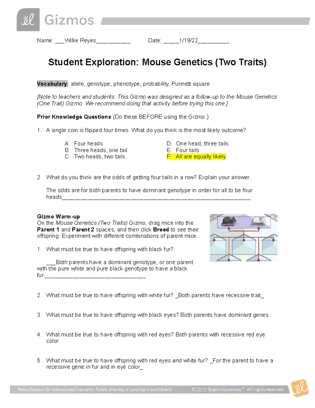 Mouse Genetics Gizmos answers.docx done - Name: Willie Reyes ...