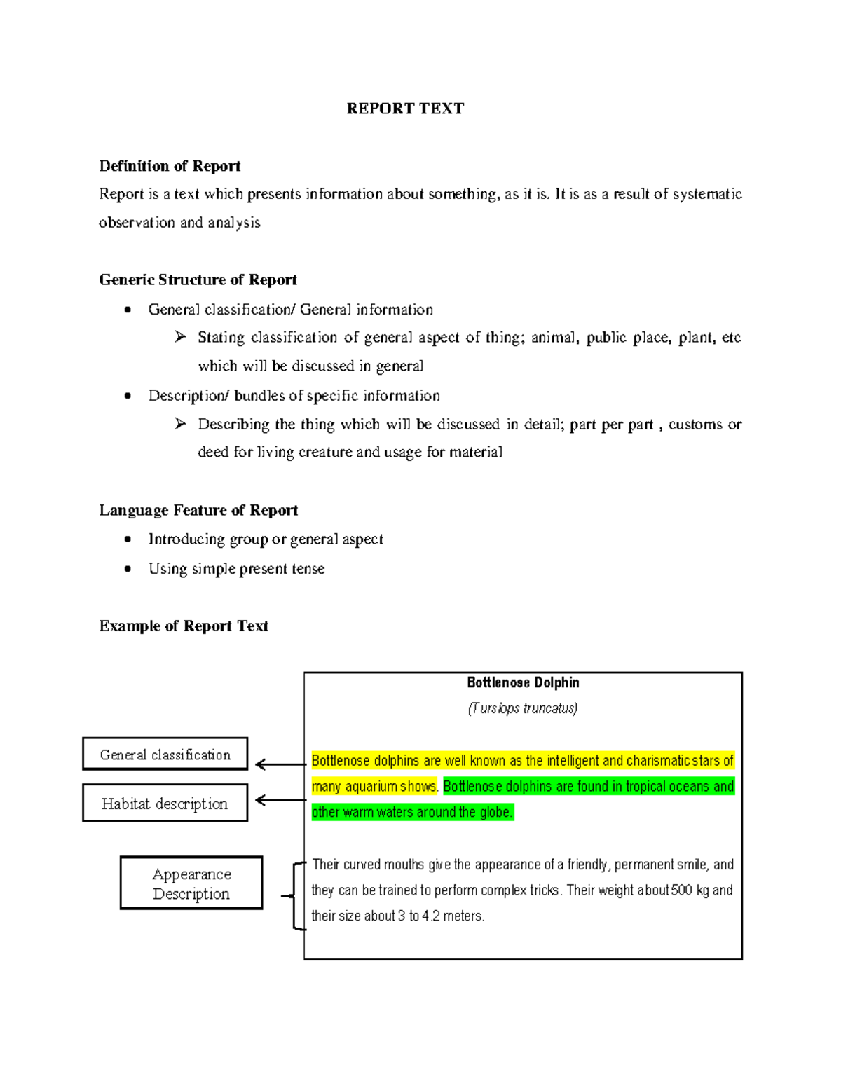 REPORT TEXT: Understanding Report Structure and Features - Pendidikan ...