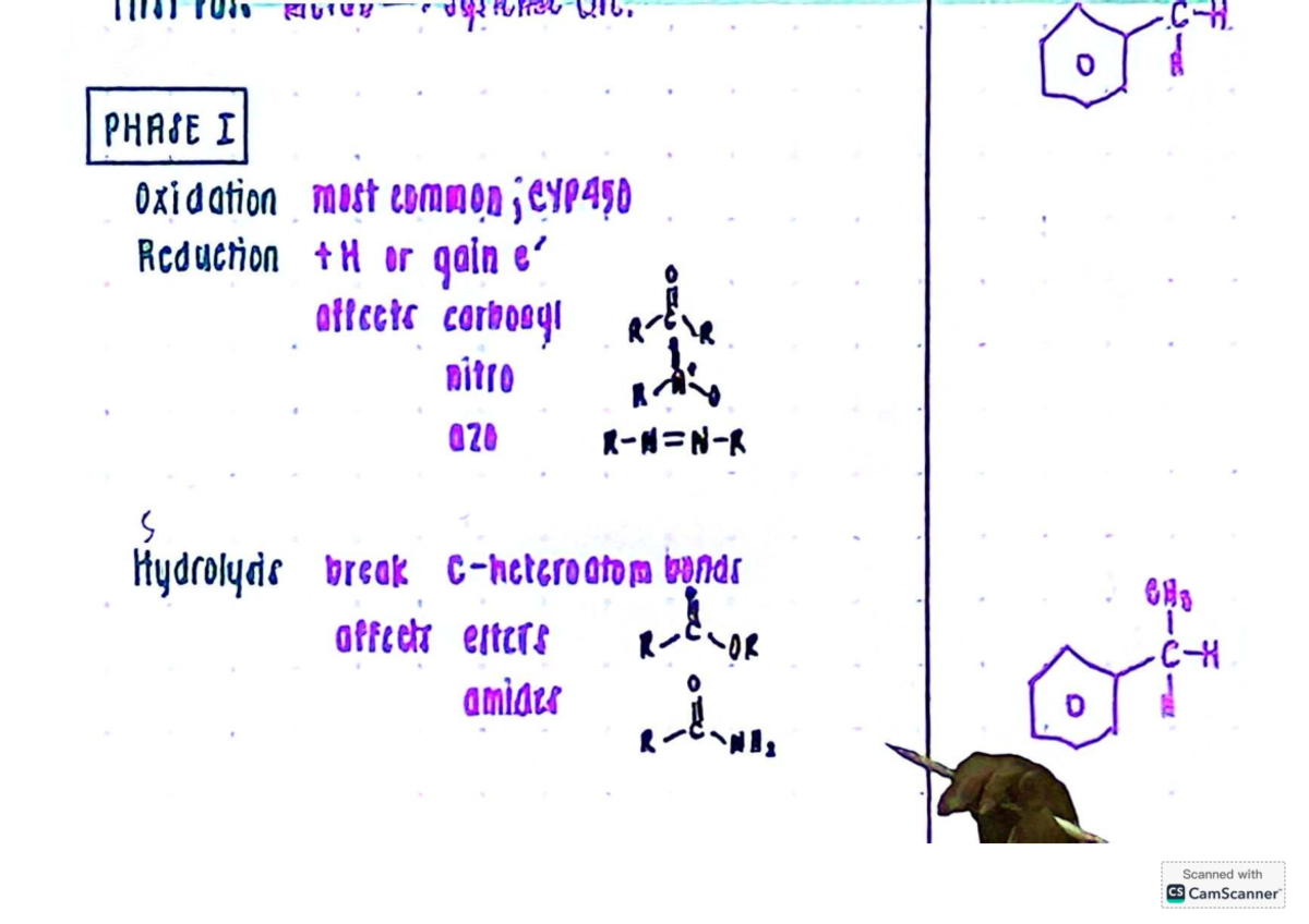 Chemistry 020: Phase I Oxidation and Hydrolysis Processes Overview ...
