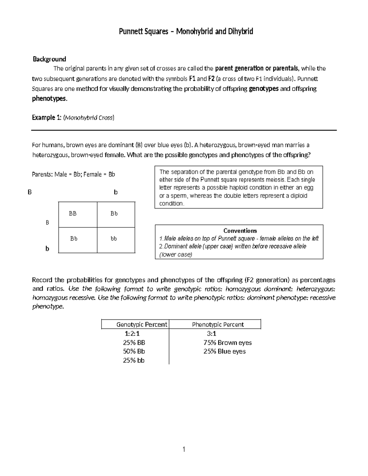 Mendelian Genetics Worksheet - Punnett Squares – Monohybrid and ...
