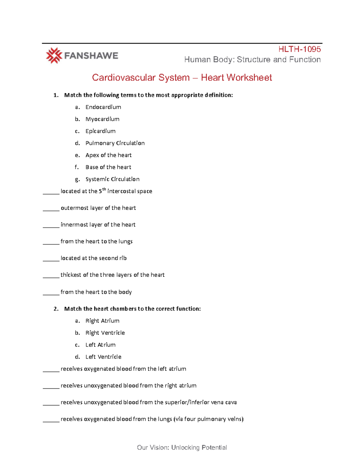 HLTH-1095 Cardiovascular System Heart Worksheet: Structure & Function ...