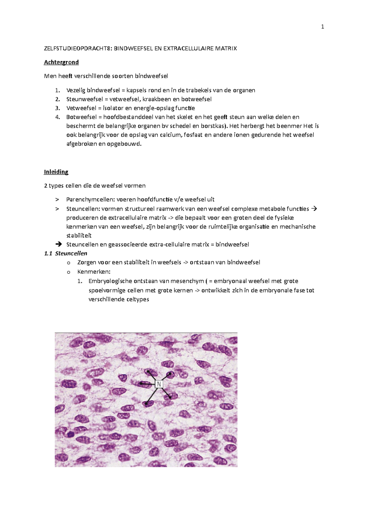 Samenvatting Bindweefsel en Extracellulaire Matrix - Human Histology ...
