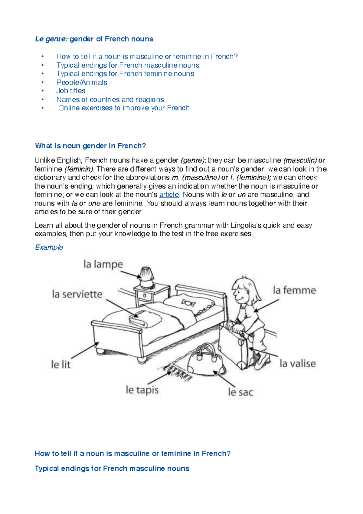 02 Gender Notes: Understanding Masculine and Feminine Nouns in French ...
