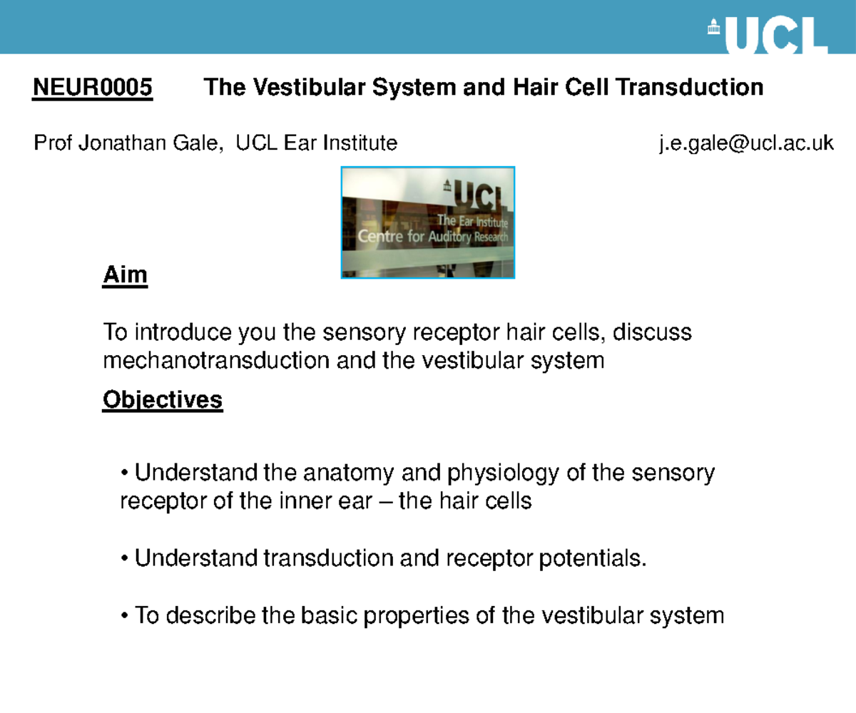 NEUR0005 Lecture: Vestibular System & Hair Cell Transduction - Studocu