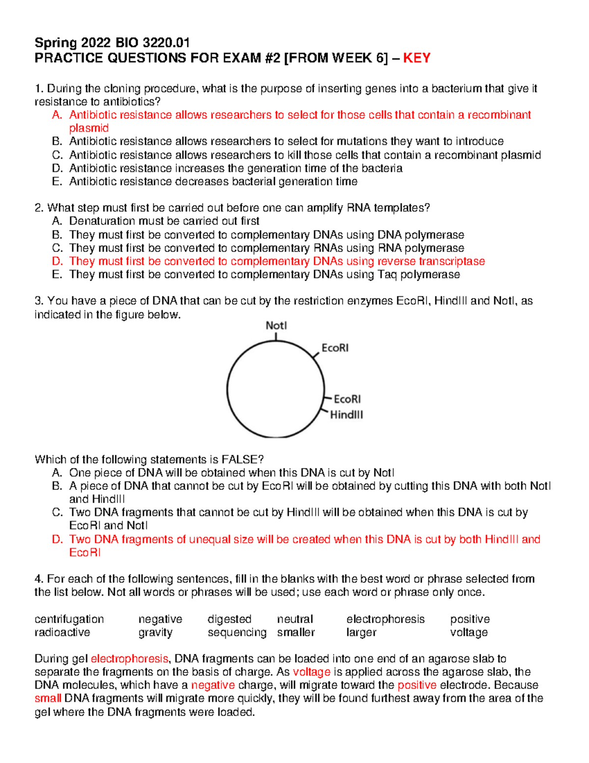 S22 BIO3220 Exam 2 Practice Questions Week 6 - Answer Key - Studocu