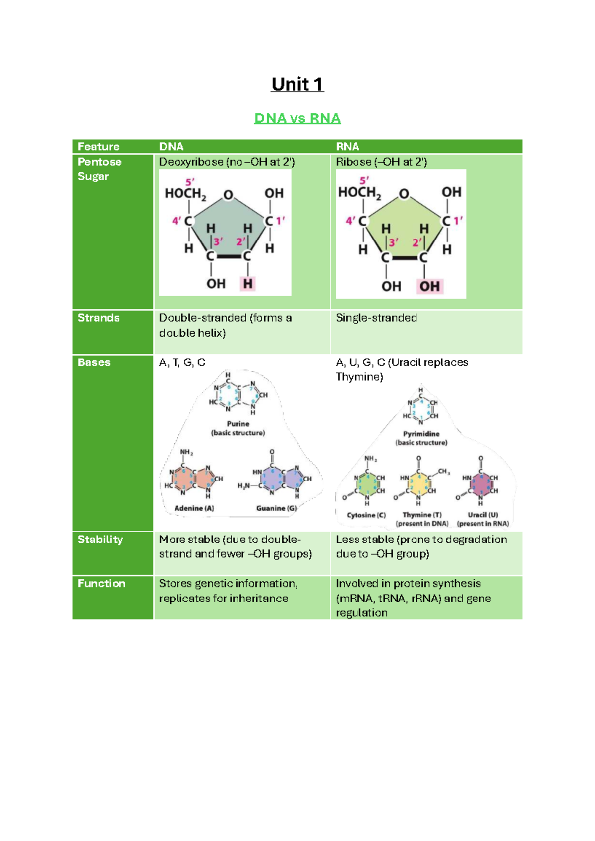 GTS 251 Unit 1 - DNA and RNA Features Study Notes - Studocu
