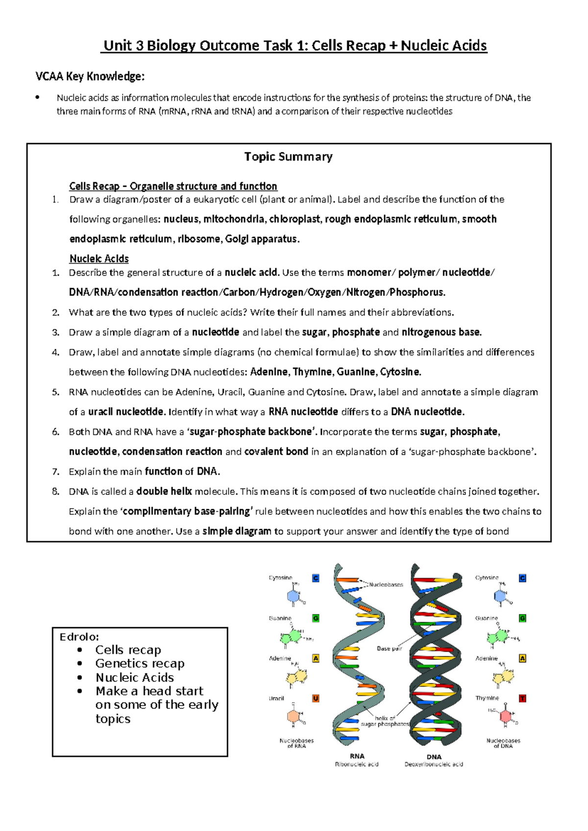 Outcome Task 1 - Cells Recap+Nucleic acids (Holiday homework) - Unit 3 ...