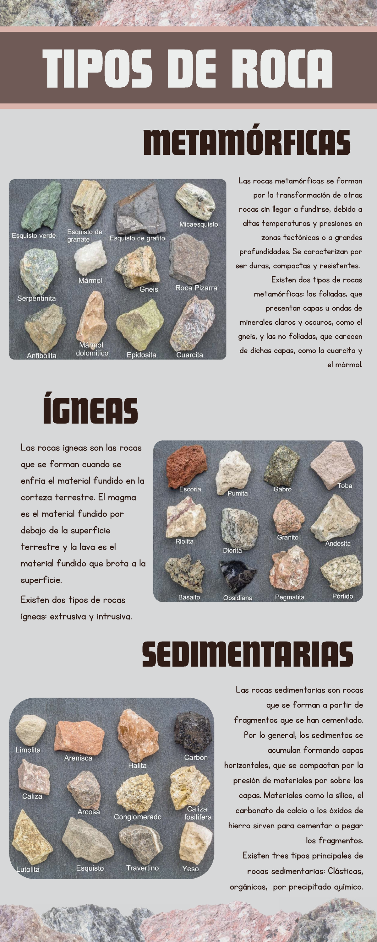 Tipos De Rocas Sedimentarias Gneas Y Metamrficas Umbraunderlay