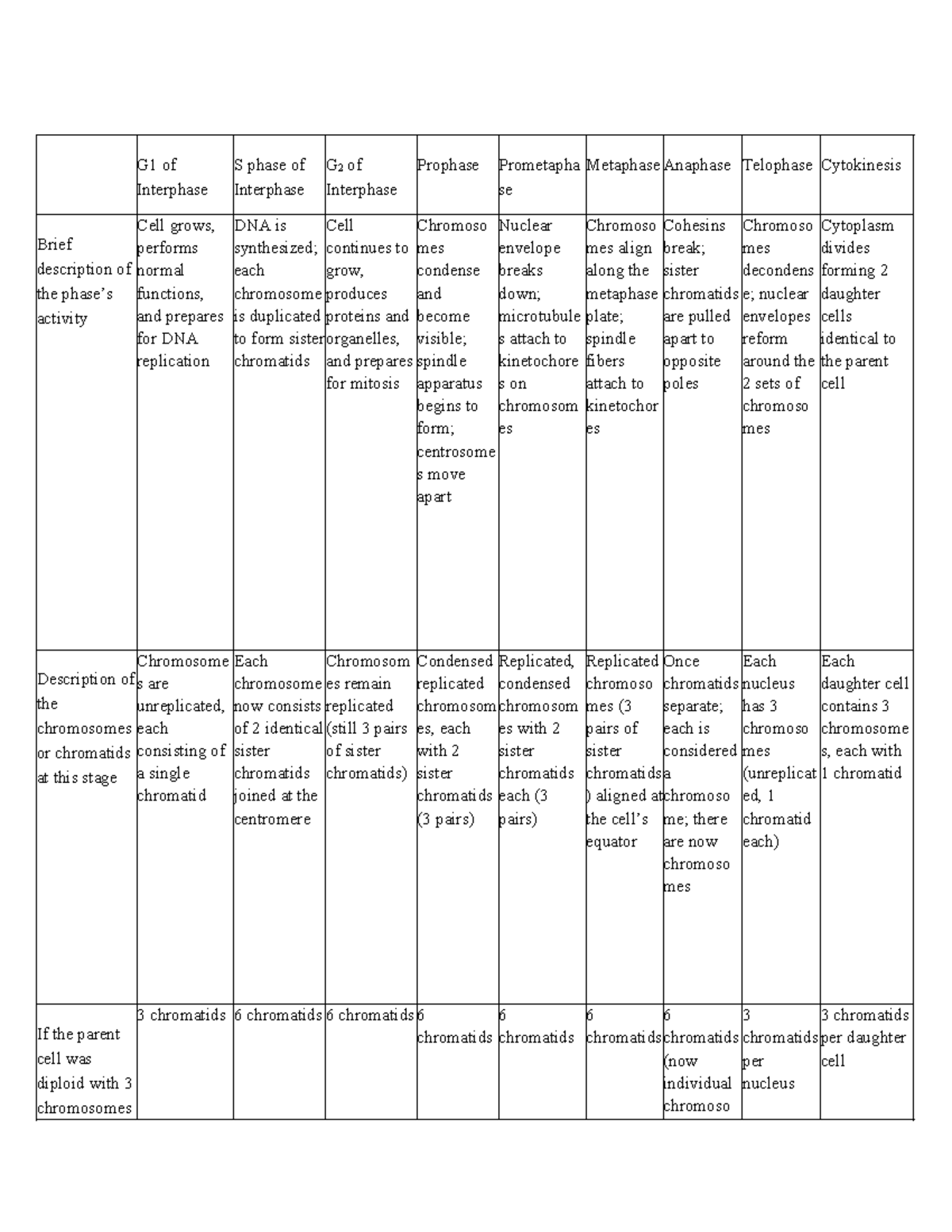 Cell Cycle Phases Overview and Checkpoints - Bio 101 Notes - Studocu