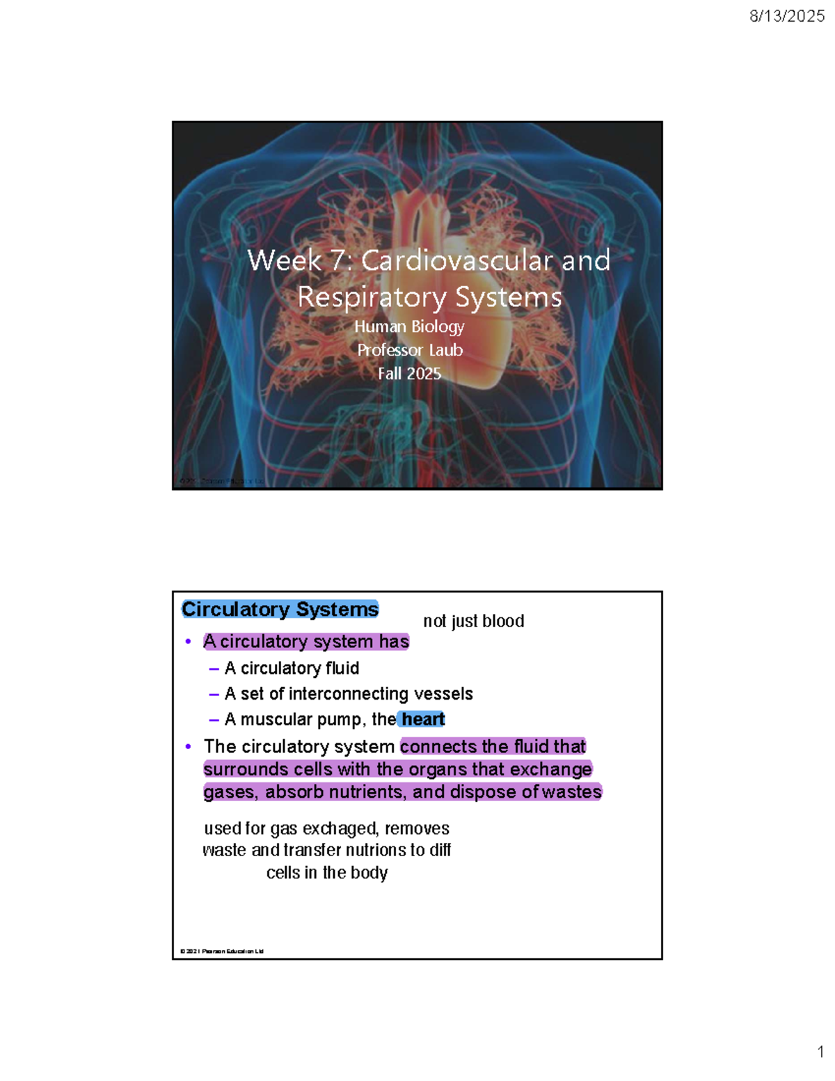 Week 7: Cardiovascular and Respiratory Systems - Human Biology - Studocu