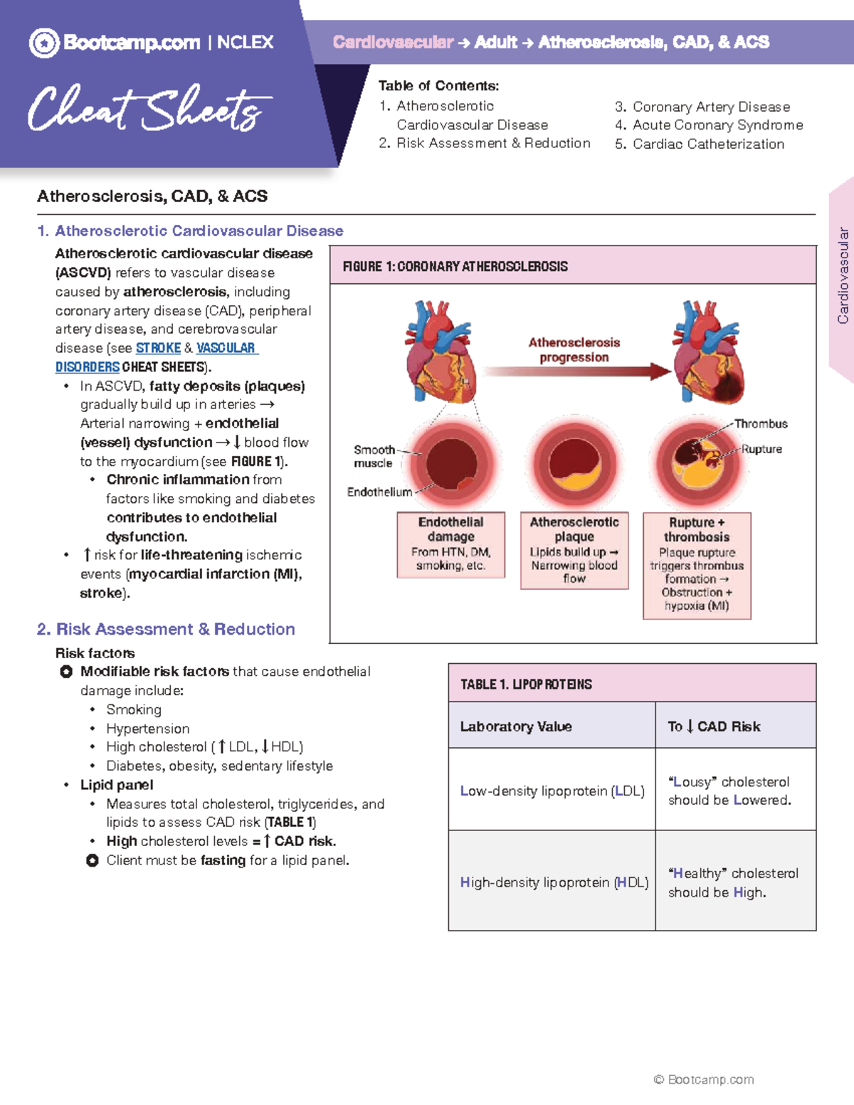 ASCVD Overview and Risk Reduction Strategies: A Comprehensive Guide ...