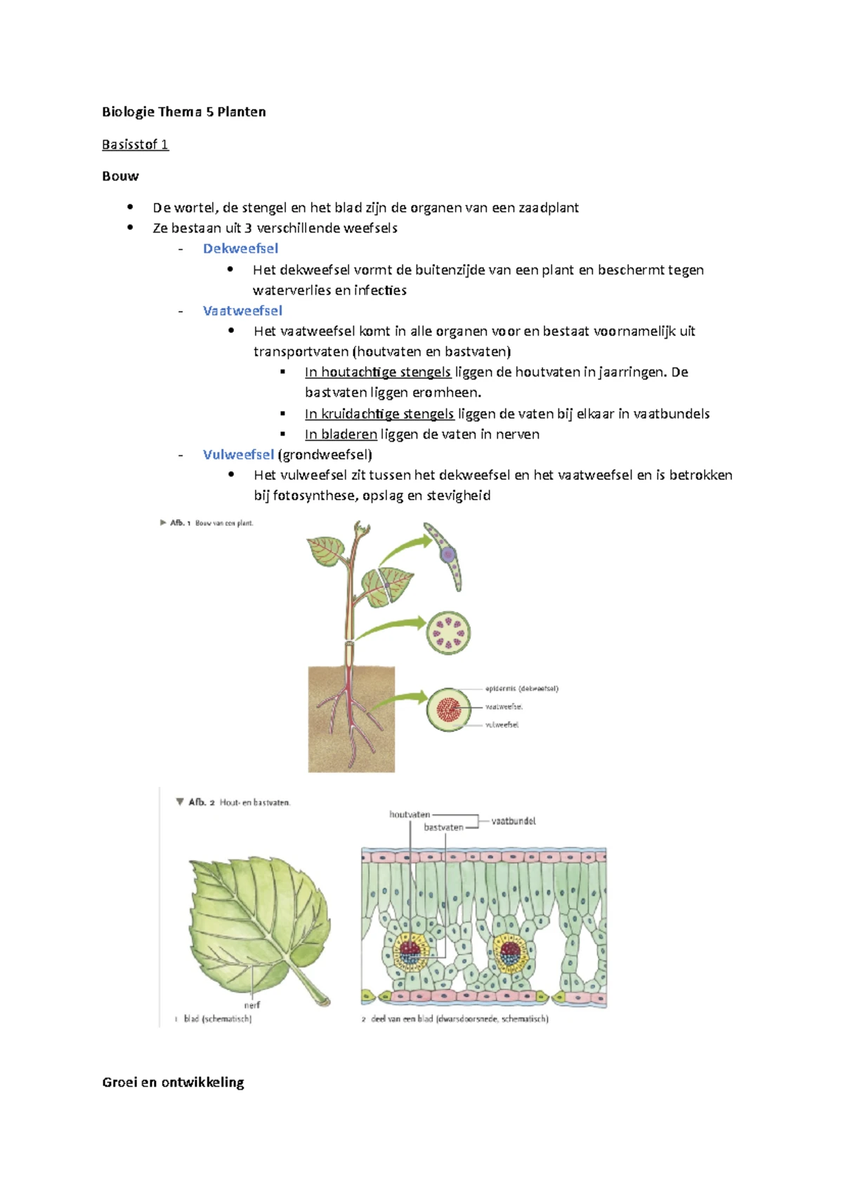 Thema 5: Planten - Groei, Transport en Assimilatie in Zaadplanten ...