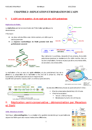 Chapitre 4 -Transcription et maturation des ARN - Généralités de la ...