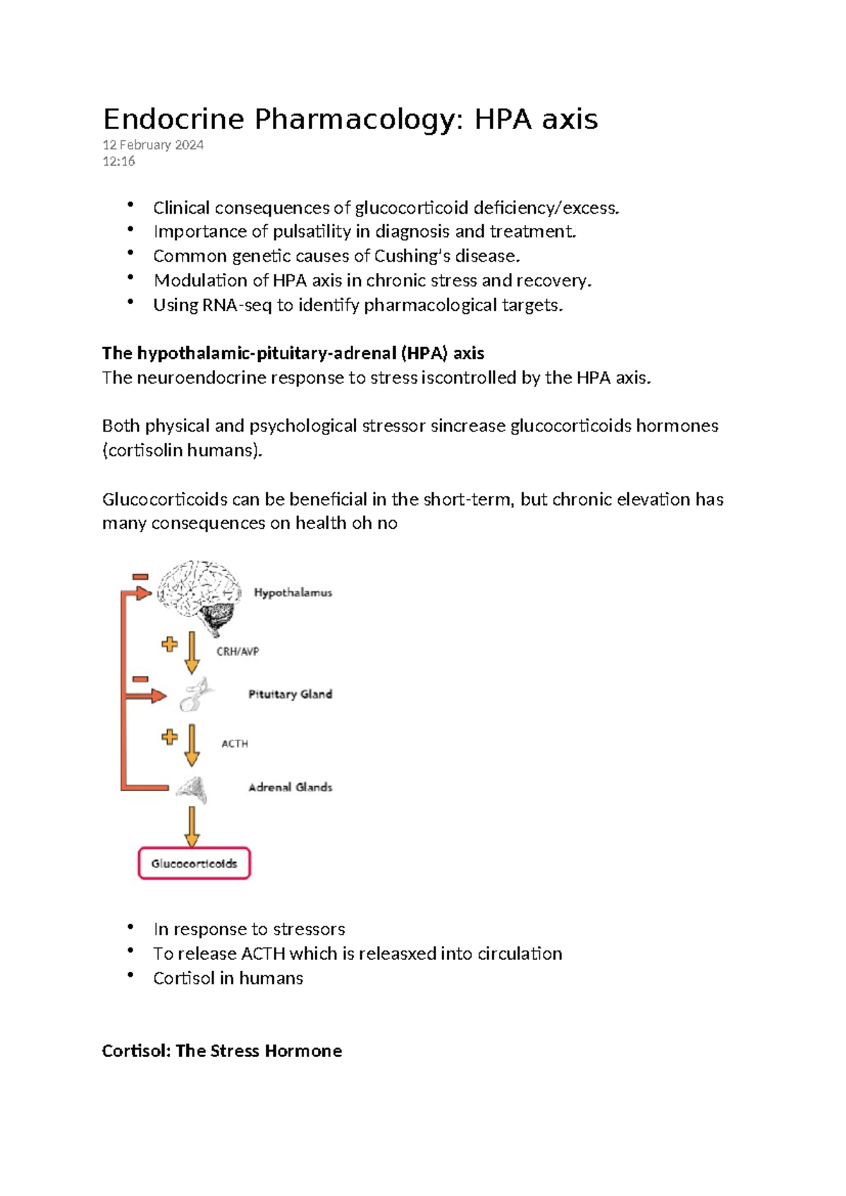 Endocrine Pharmacology HPA axis - Importance of pulsatility in ...