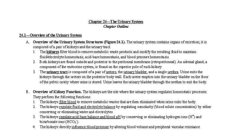 Ch 24: Outline of the Urinary System Overview and Functions - Studocu
