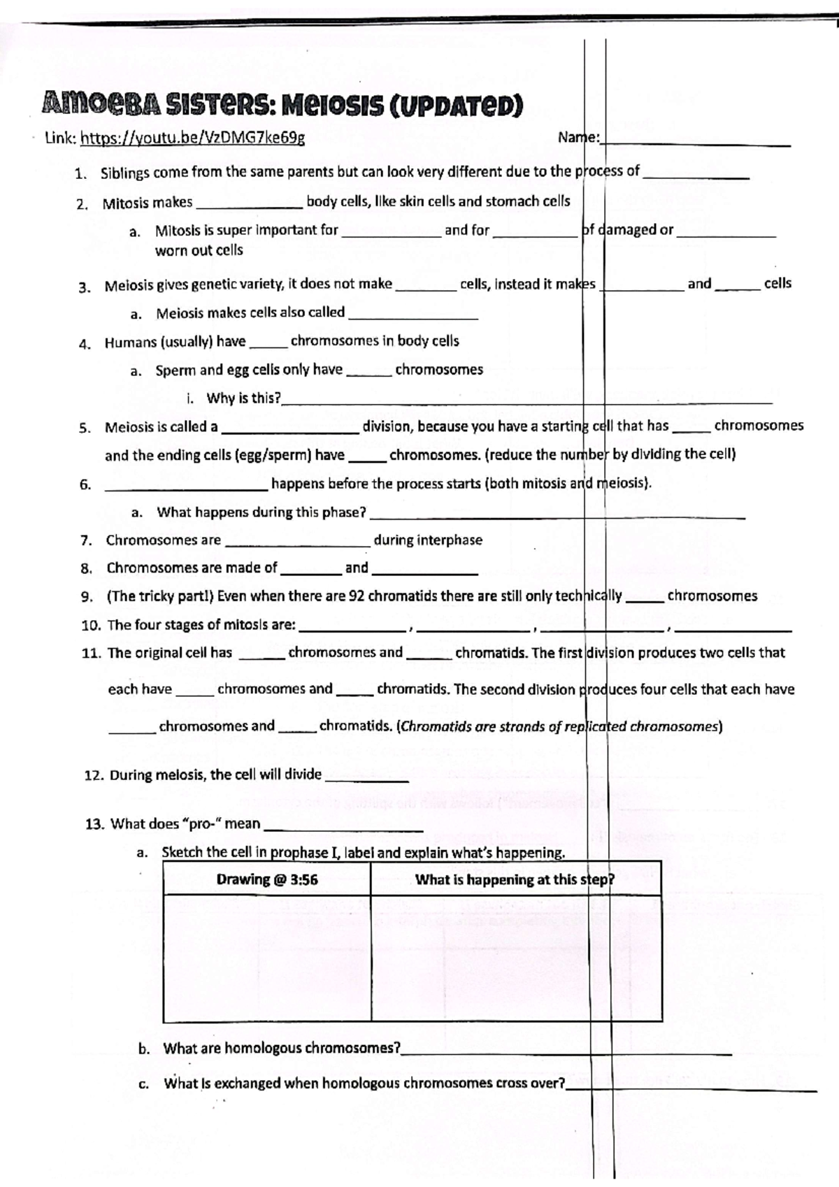 Amoeba Sisters - Meiosis Guided Notes (Updated) for Better ...