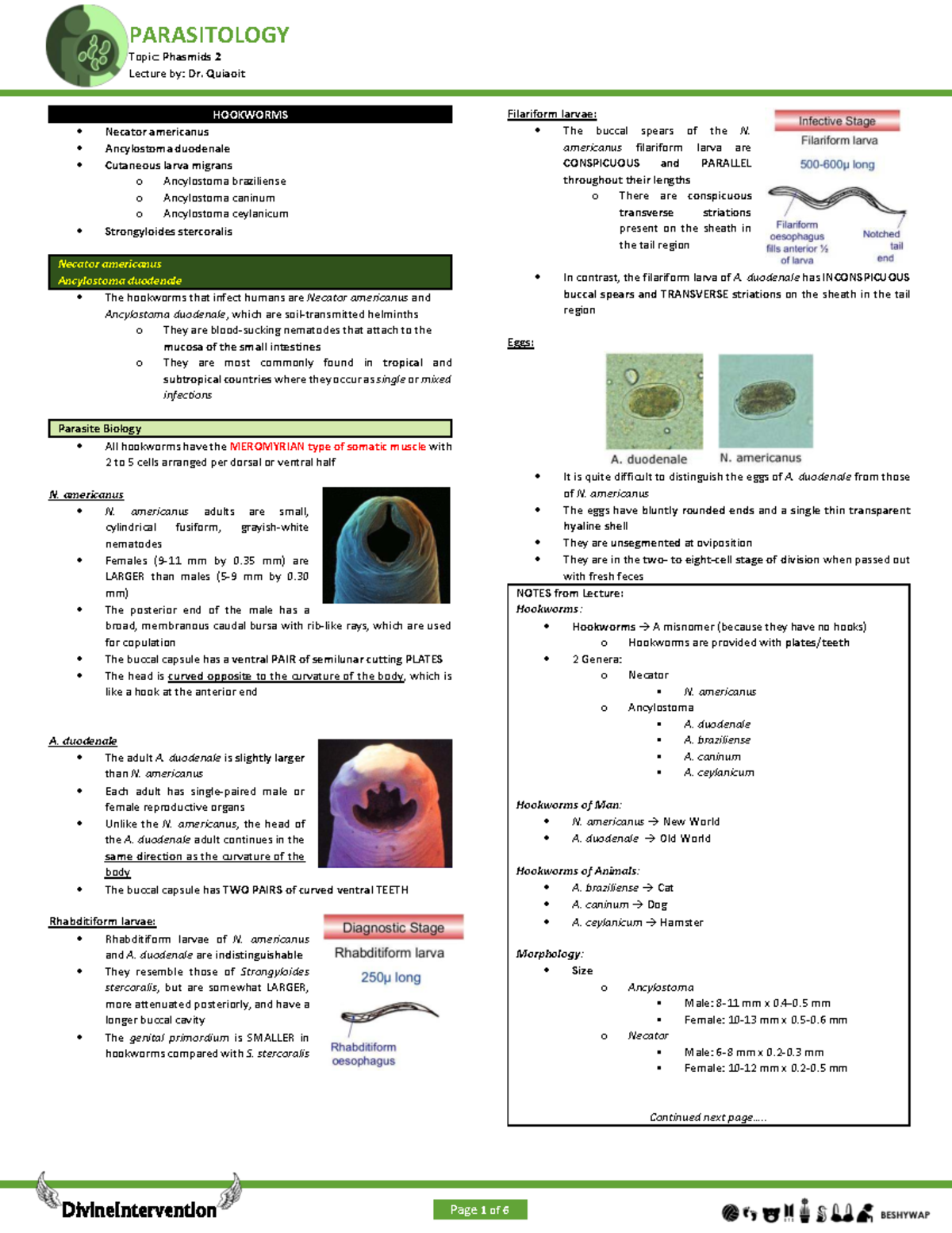Parasitology 9: Lecture Notes on Hookworms and Filariform Larvae - Studocu