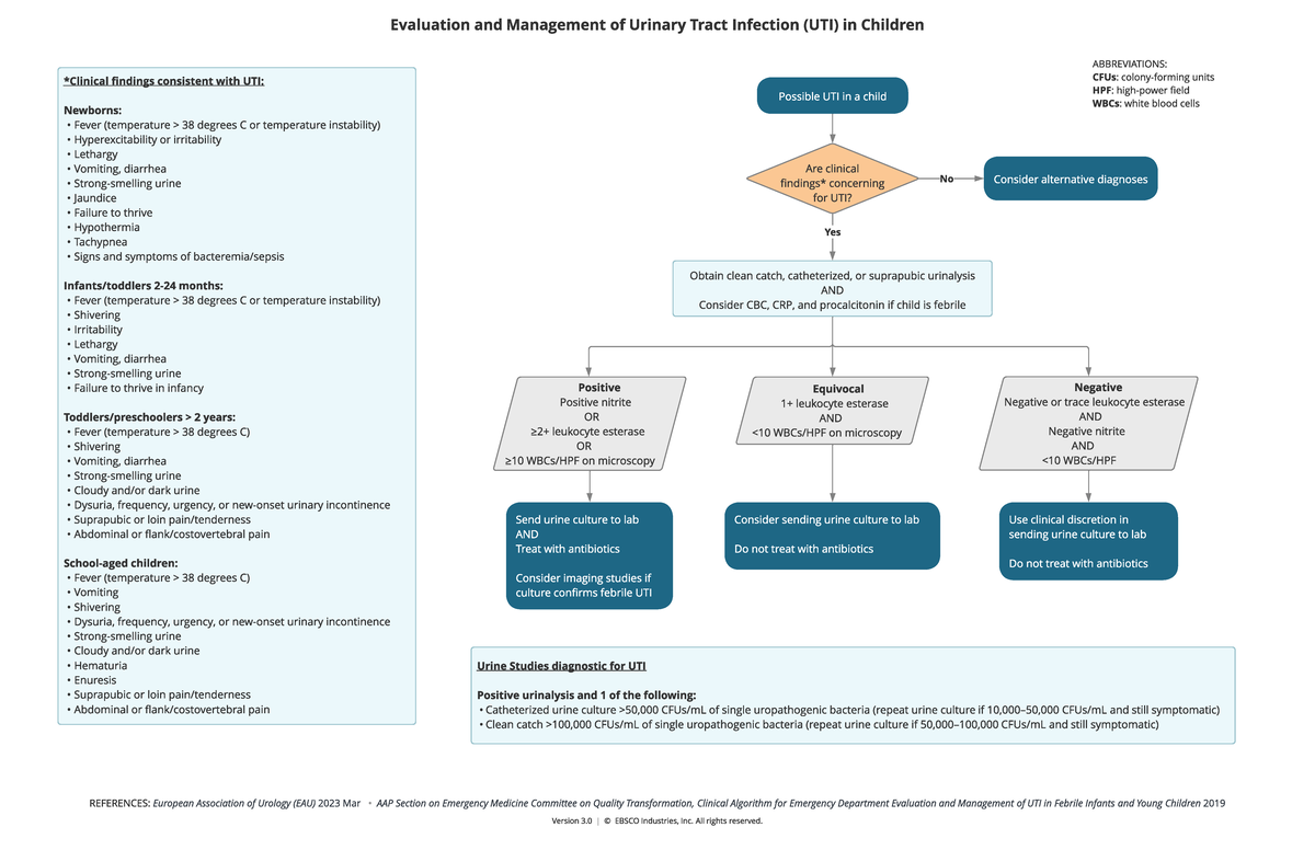 EAU2023 UTI Management Flowchart for Child Evaluation - Studocu