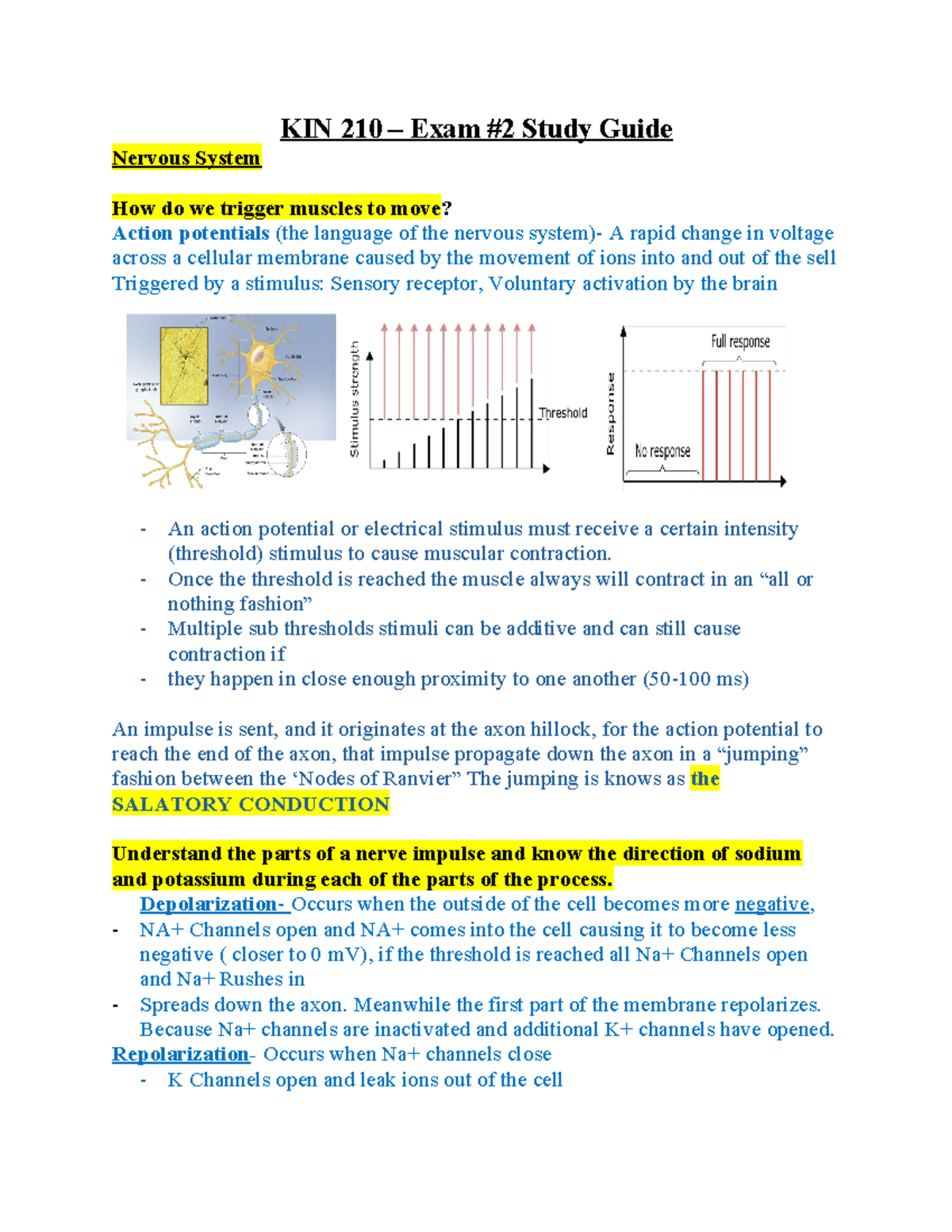 KIN 210 – Exam #2 Study Guide: Cardiovascular and Respiratory Systems ...