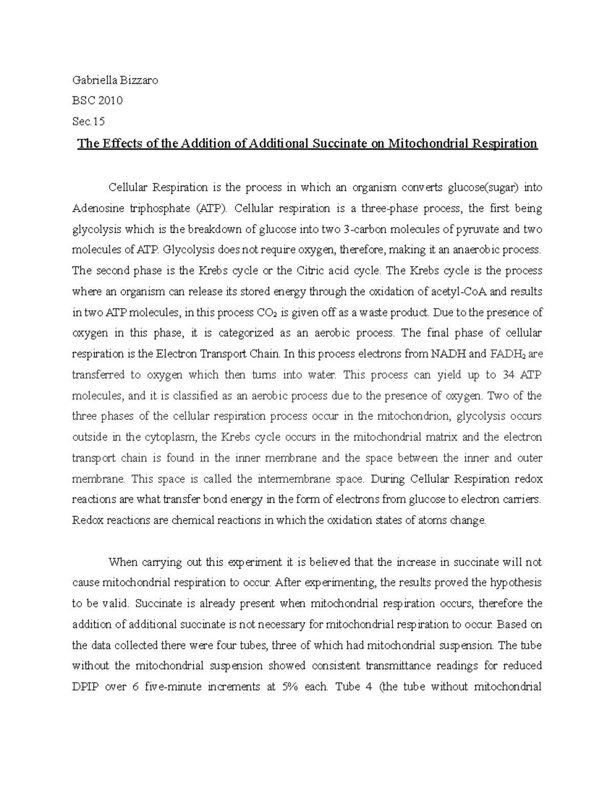 Cellular respiration abstract - Gabriella Bizzaro BSC 2010 Sec. The ...