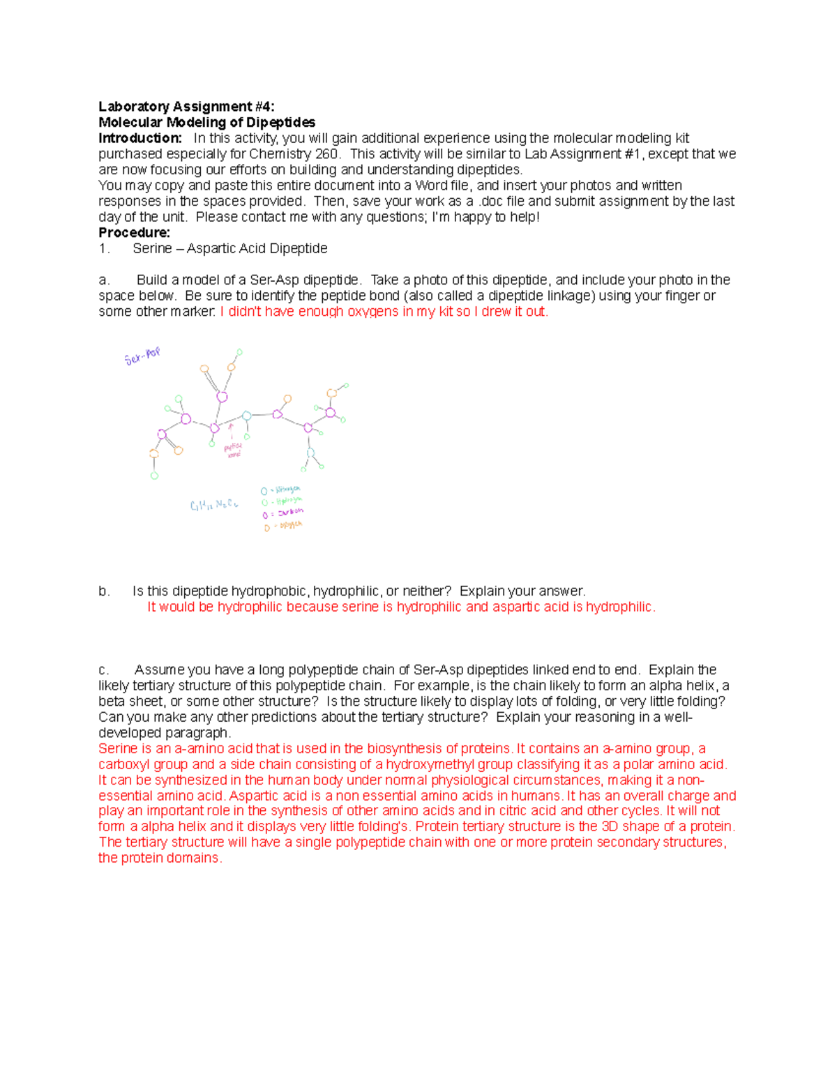 Chem 260 Lab 4: Molecular Modeling of Dipeptides with Betsy Bainer ...