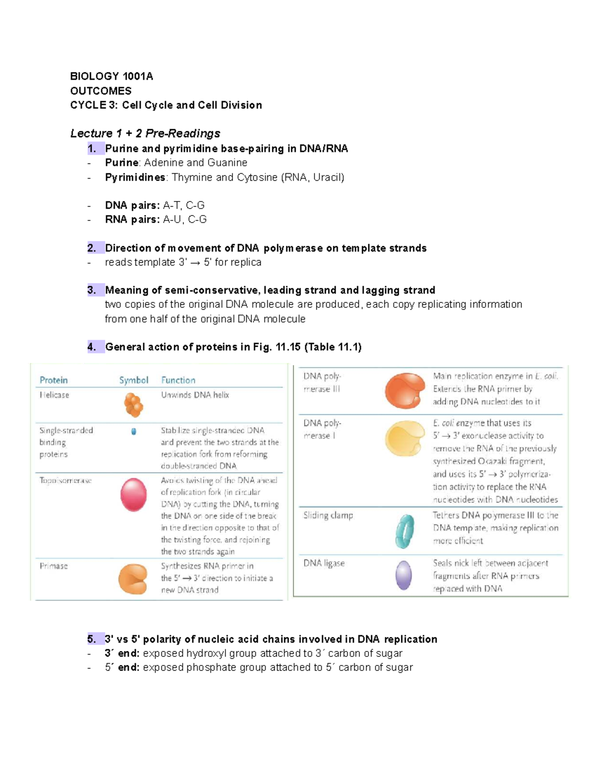 Biology 1001A - Cycle 3: Cell Cycle & DNA Structure Lecture Notes - Studocu