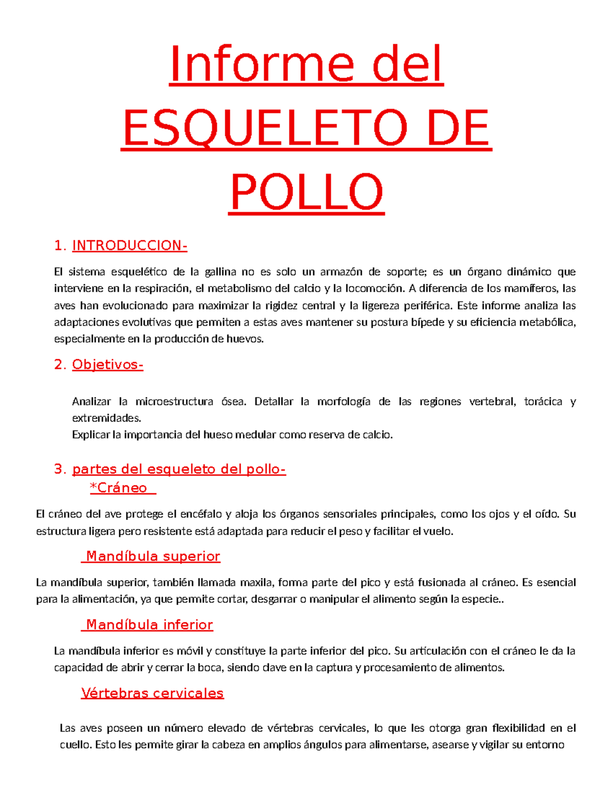 Informe del Esqueleto de Pollo: Adaptaciones y Funciones - Studocu