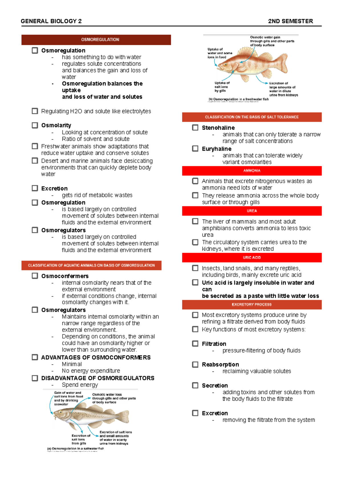 Biology 101: Osmoregulation and Excretory Systems Review Notes - Studocu