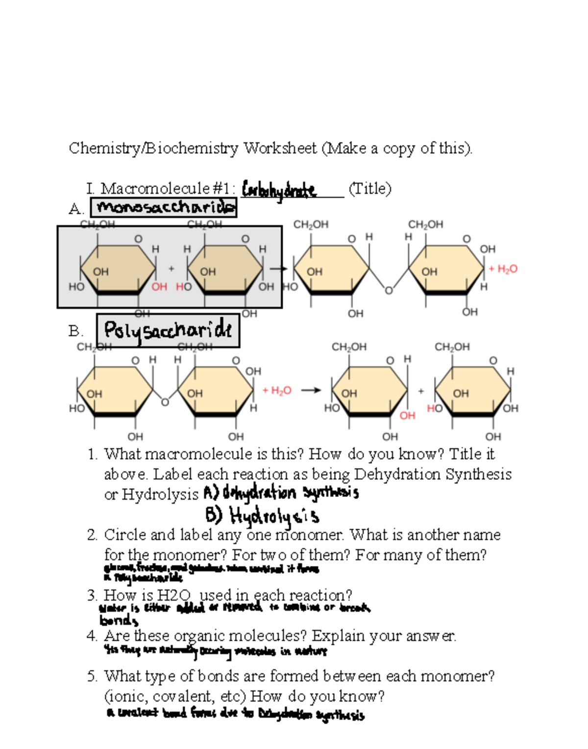 Chemistry Biochemistry+Activity+Upload - Chemistry/Biochemistry ...