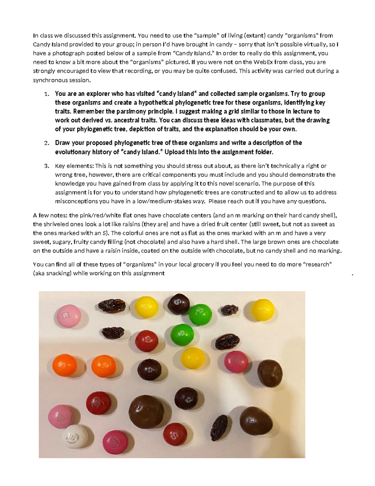 Candy Cladogram Assignment F24: Exploring Phylogenetic Trees of Candy ...
