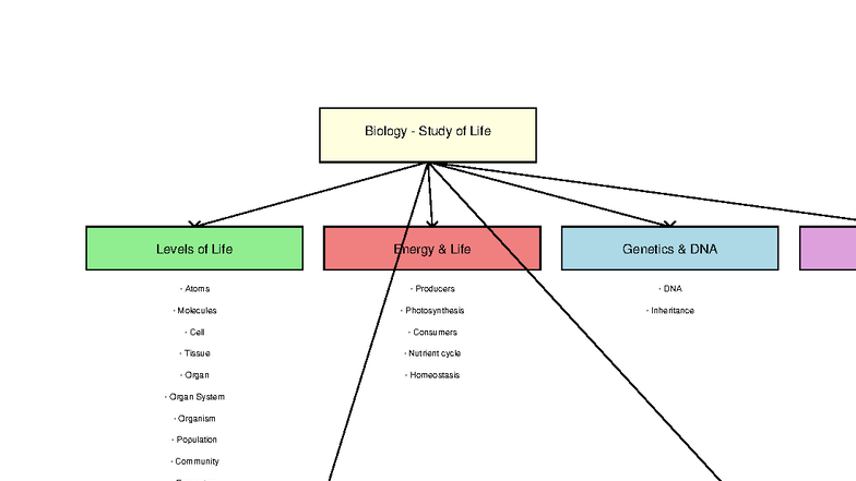 BIO 189 Chapter 1 Concept Map: Levels of Life & Energy - Studocu
