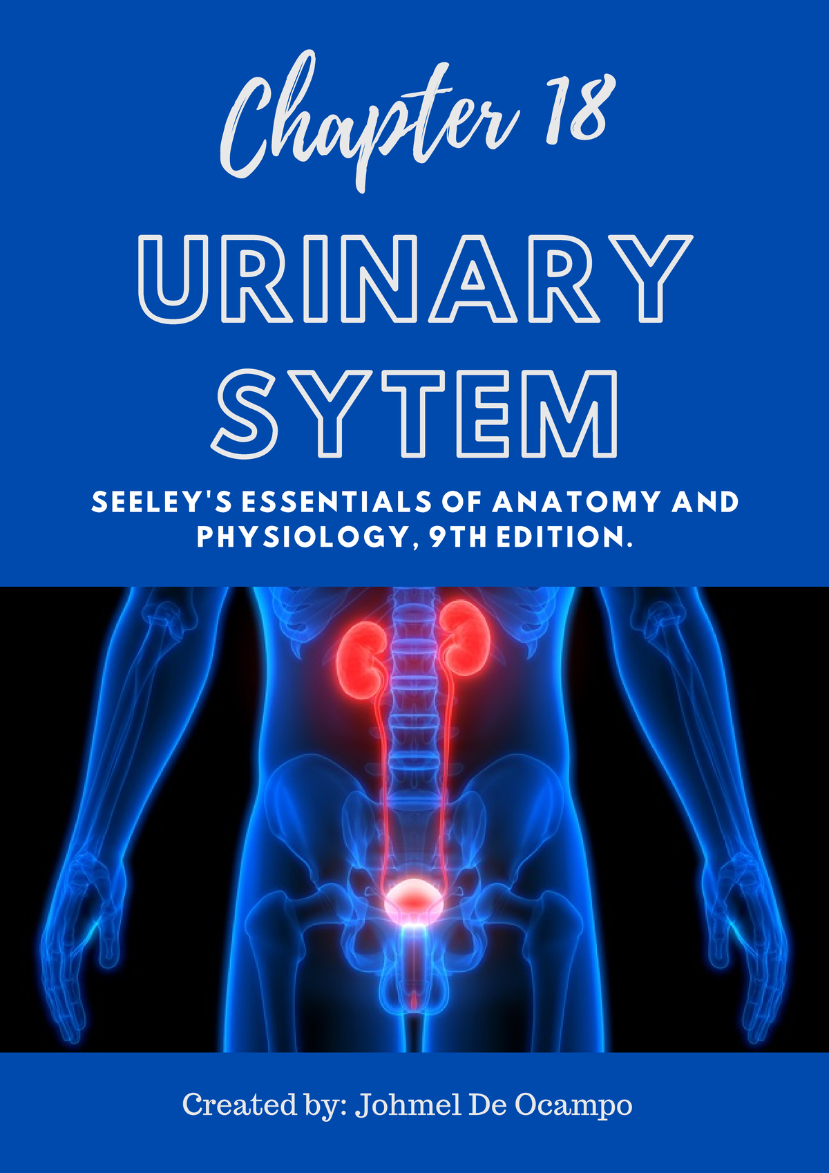 Anatomy & Physiology (Chapter 18: The Urinary System) - Studocu