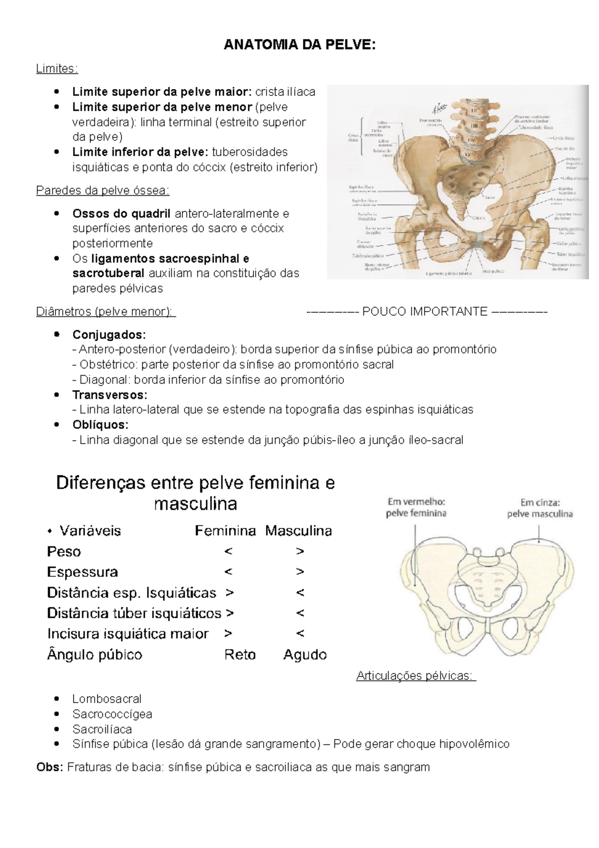 Resumo Aula 1 - Anatomia da Pelve e Estruturas Associadas - Studocu