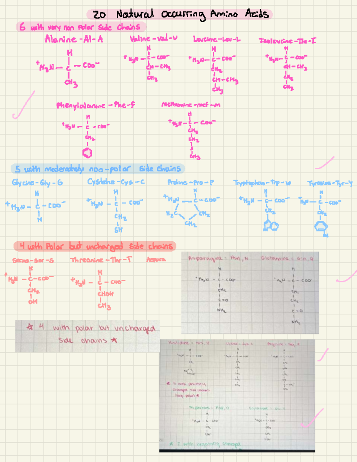 Amino Acids notes - zo Natural Occurring Amino Acids G with very non ...