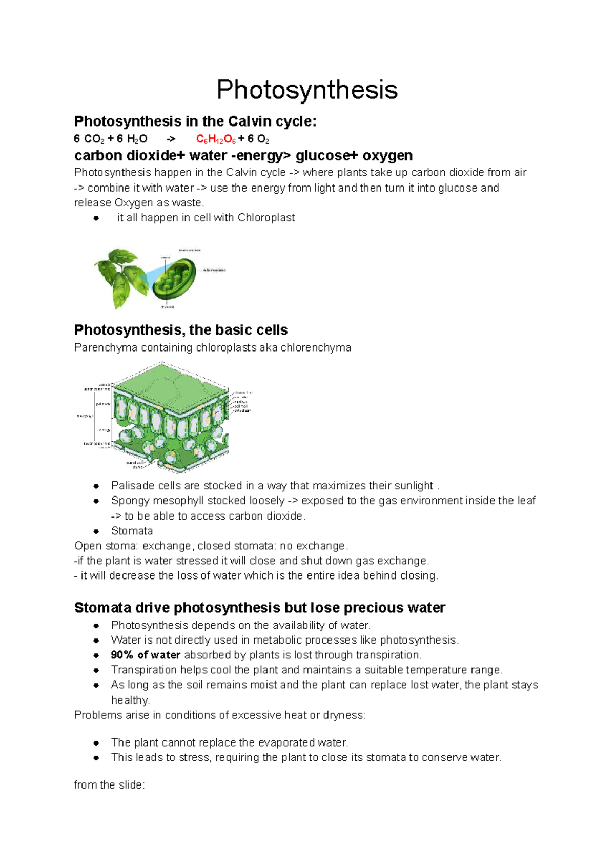 Bio lecture 5: Understanding the Calvin cycle and water use efficiency ...
