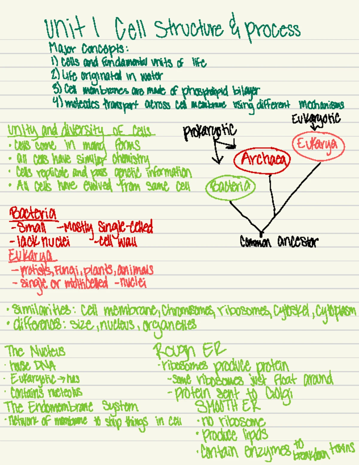 Bio 6 - Cell Membrane Structure and Transport Notes - Studocu