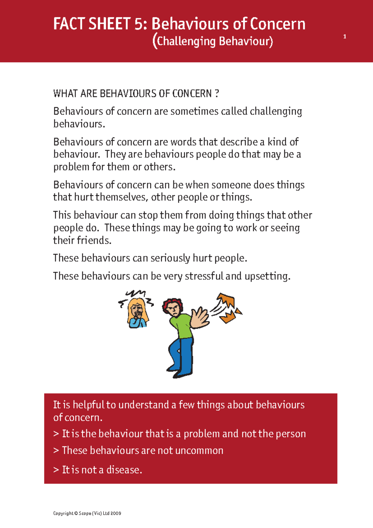 Challenging Behaviour Overview: Understanding Behaviours of Concern ...