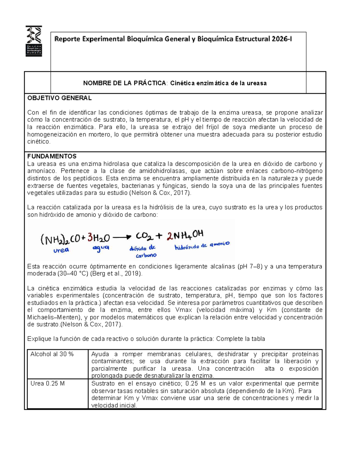 Reporte 9 - Cinética Enzimática de la Ureasa: Análisis y Resultados ...