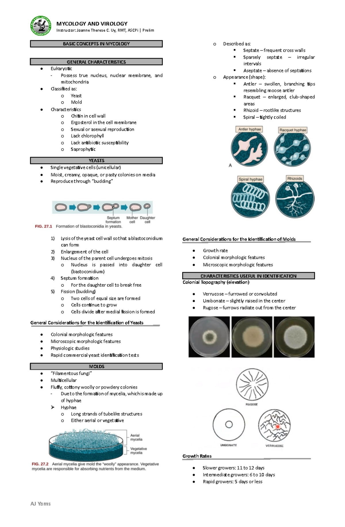 Basic Concepts IN Mycology - Instructor: Joanne Therese C. Uy, RMT ...