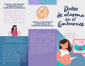 Código Mater: Activación de Emergencias Obstétricas y Protocolo Triage ...