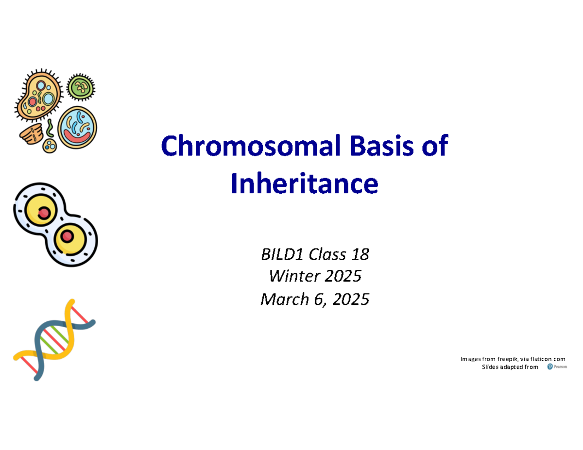 BILD1 Class 18: Chromosomal Basis of Inheritance Lecture Notes ...