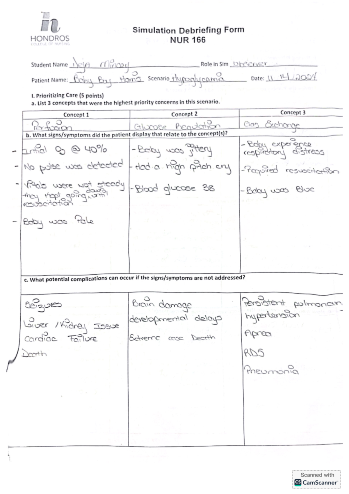 Cam Scanner-11-17-2024-21.54 - Simulation Debriefing Form HONDROS NUR ...