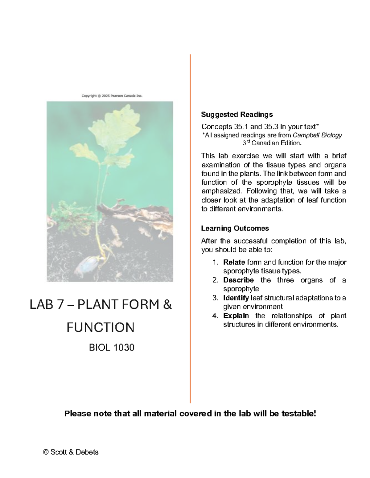 BIOL 1030 Lab 7: Plant Form and Function Overview and Notes - Studocu