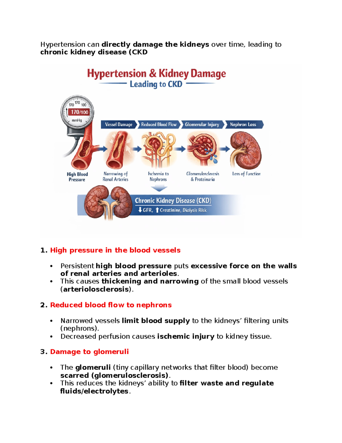 HTN 101: Understanding the Link Between Hypertension and CKD - Studocu