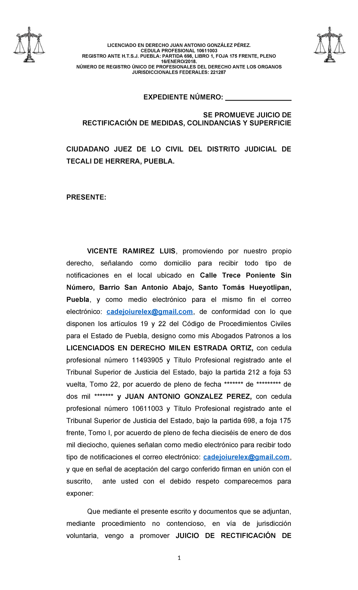 Demanda de Rectificación de Medidas y Colindancias - LICENCIADO EN ...